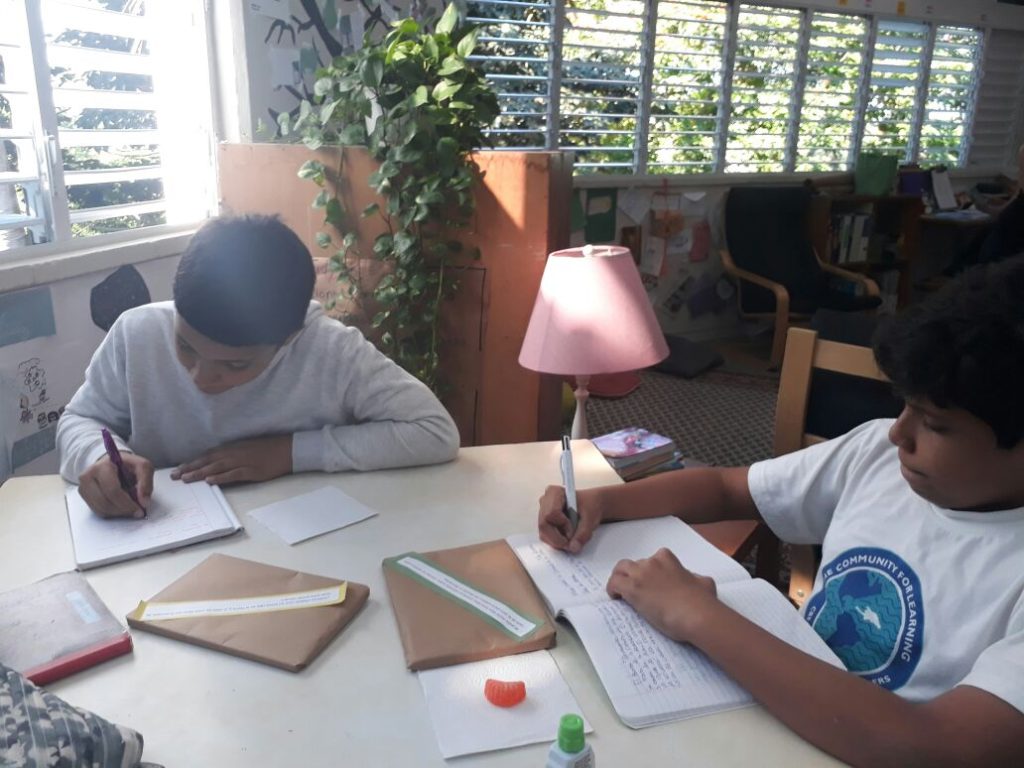 Creating a Buzz About Books - The Teaching Experiment