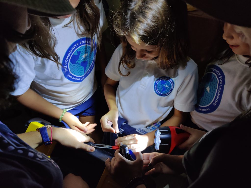 How to Integrate Art and History into a Student-Led BreakOut Project ...